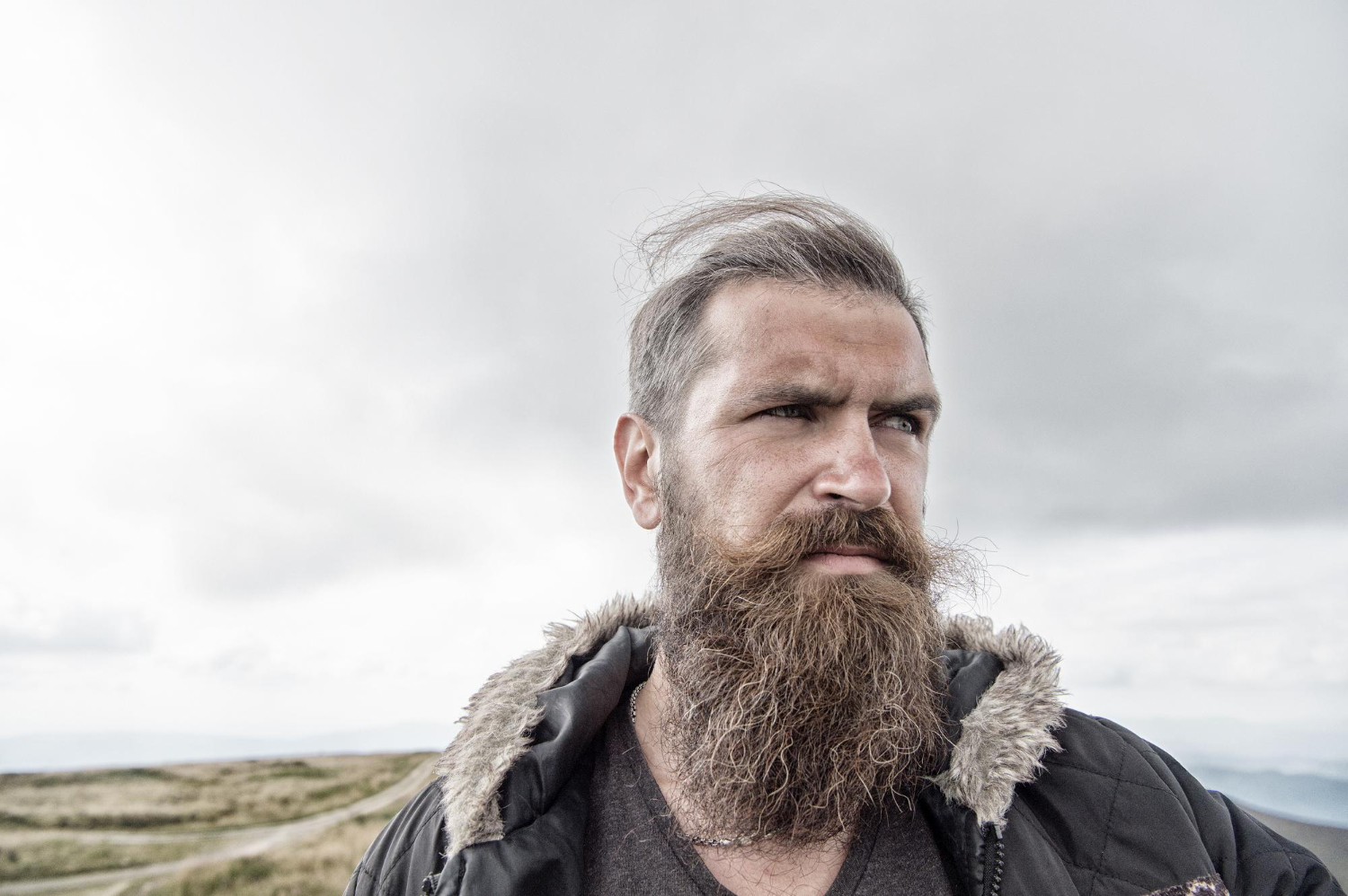 Estilos De Barba Viking